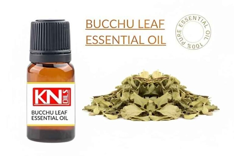 BUCHU LEAF ESSENTIAL OIL - Buy 100% Pure ESSENTIAL OIL from India (Delhi)