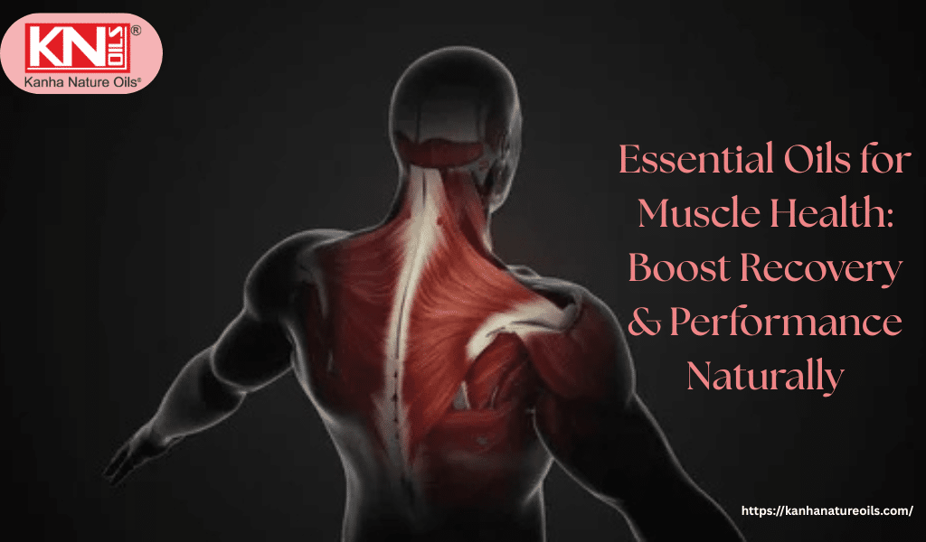 Top 5 Essential Oils That Soothe Sore Muscles Naturally