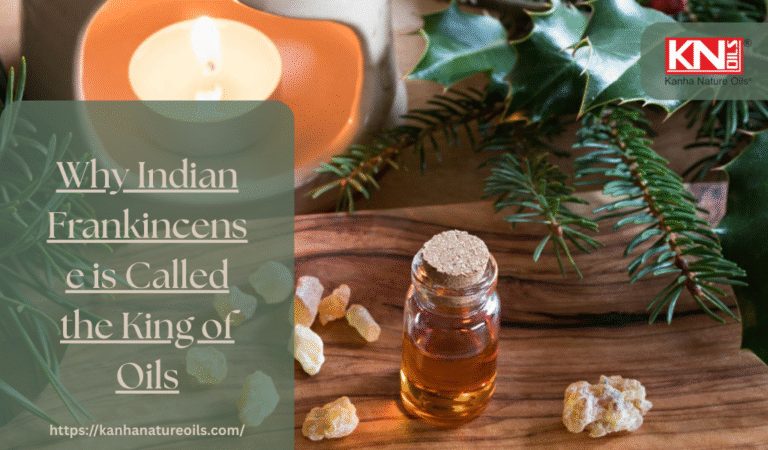 Why Indian Frankincense is Called the King of Oils