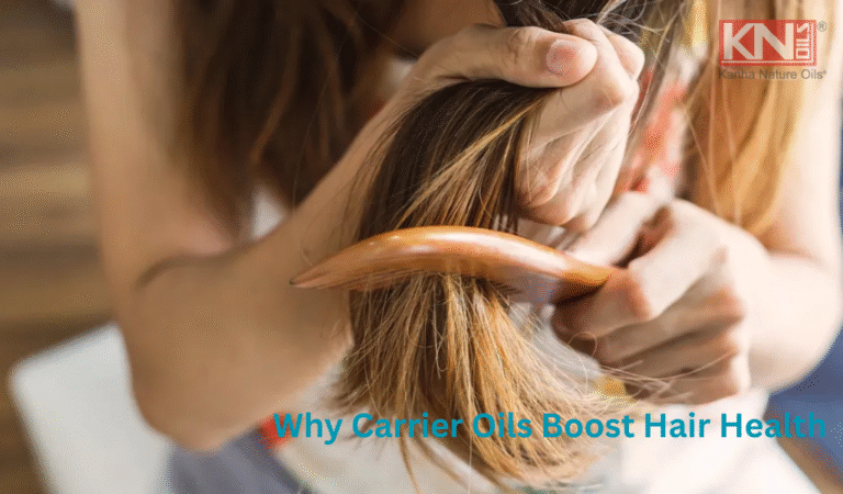 6 Best carrier oils for hair growth and thickness - Pure Natural ...